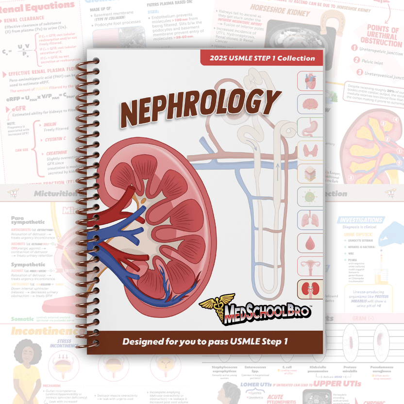 Free USMLE Step 1 Study Pack – MedSchoolBro