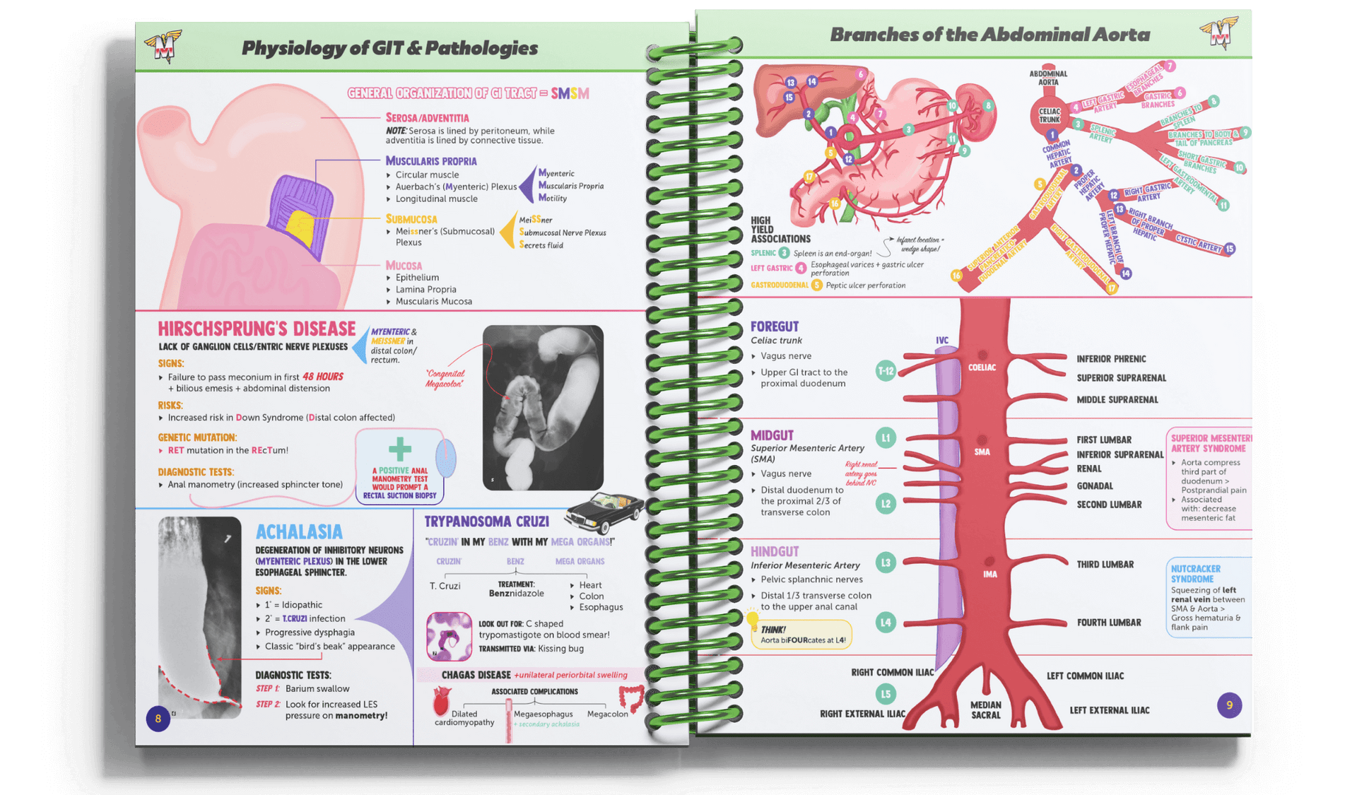 USMLE Step 1 Test prep – MedSchoolBro