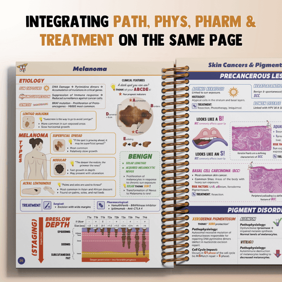 The Complete USMLE Step 1 Bundle – MedSchoolBro