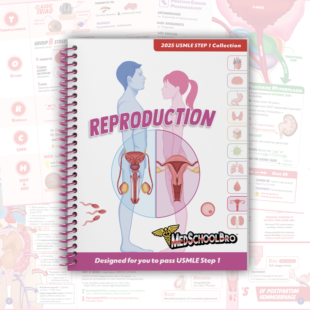 Free USMLE Step 1 Study Pack – MedSchoolBro