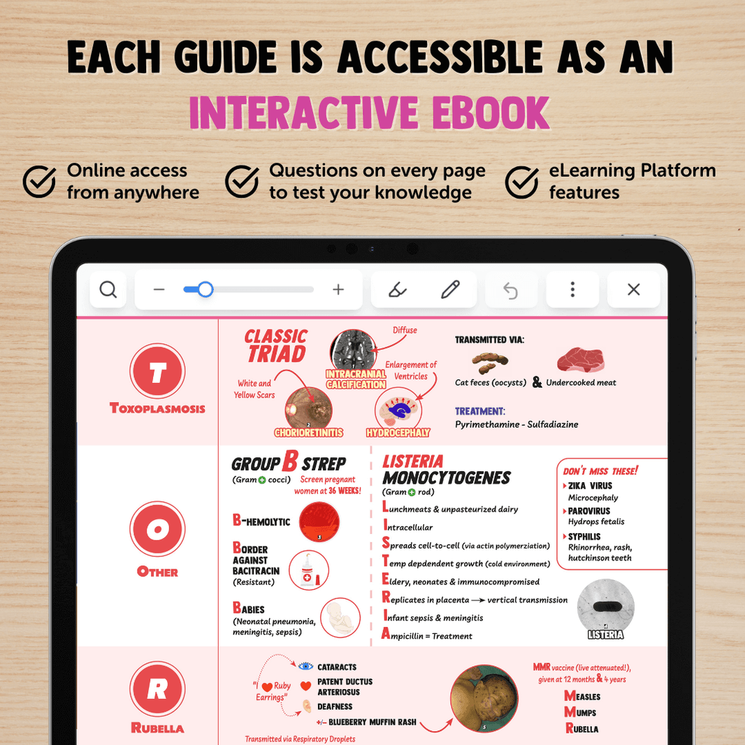 USMLE Step 1 Test prep – MedSchoolBro