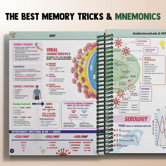 The Complete USMLE Step 1 Bundle – MedSchoolBro