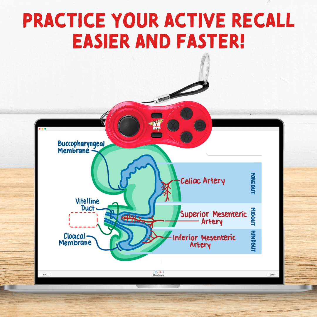 Anki Clicker – MedSchoolBro