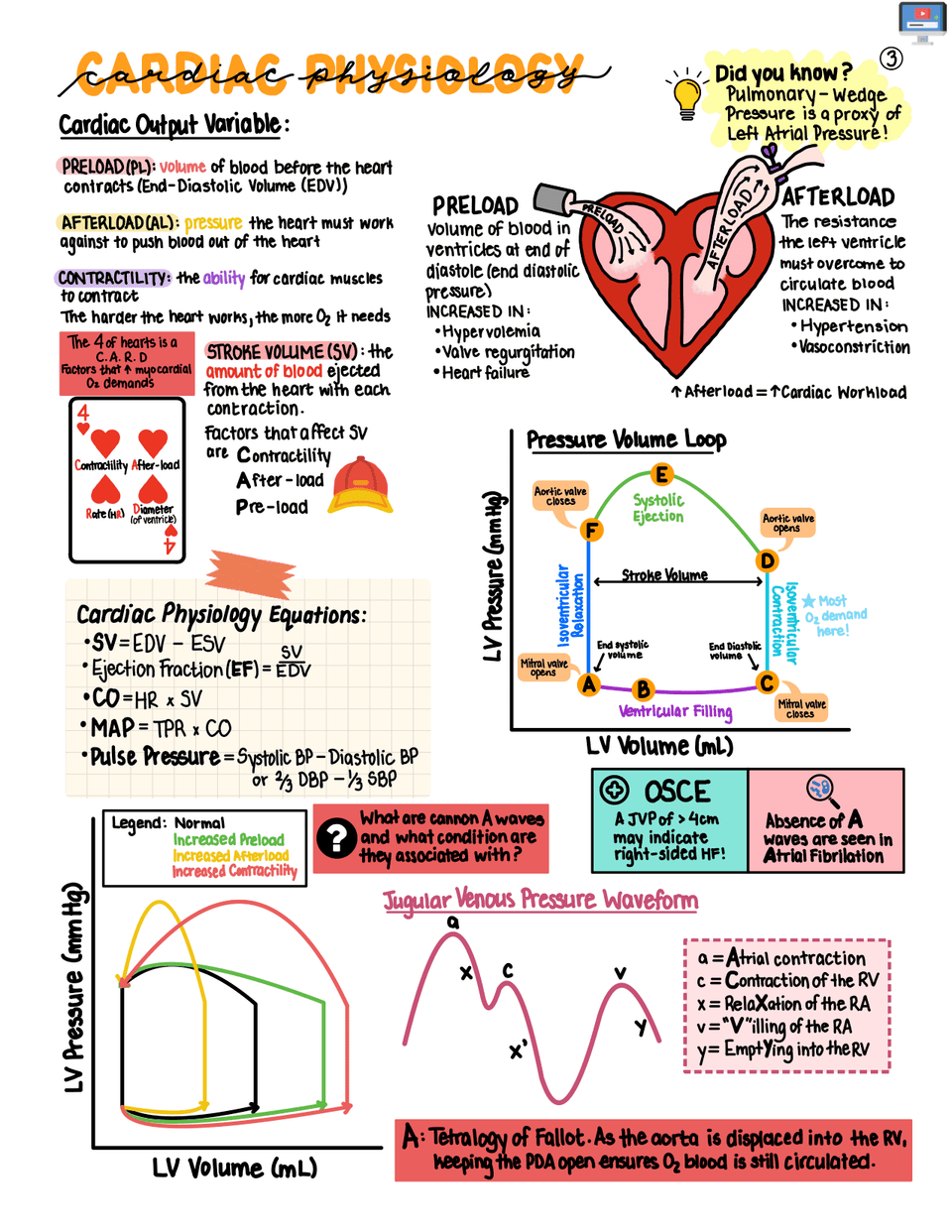 The Complete Guide to: Cardiology – MedSchoolBro